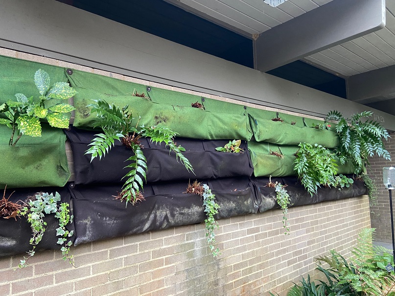 Woolly Pockets | Brookgreen