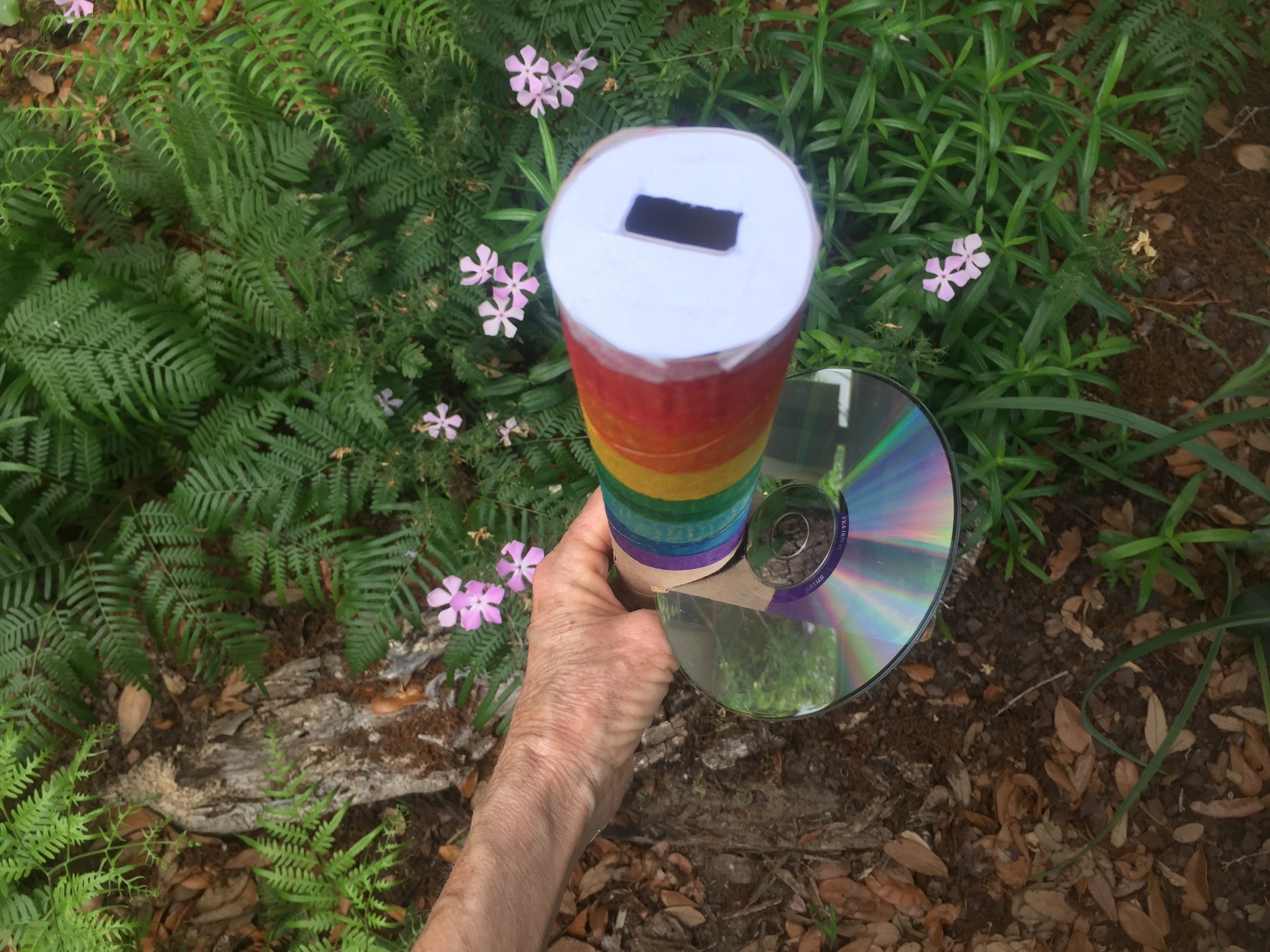 How to See a Rainbow with a Home-made Spectroscope! | Brookgreen