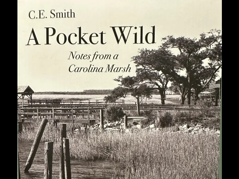 The Annual Spring Tide Community Clean-up of Murrells Inlet with ...