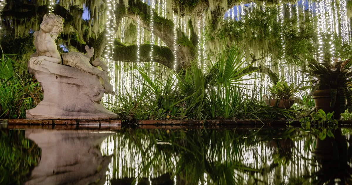 Nights of a Thousand Candles | Brookgreen