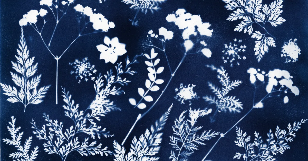 Cyanotypes: Intro to Printing Images | Brookgreen