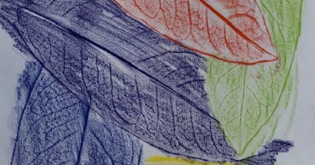 Leaf Rubbings | Brookgreen