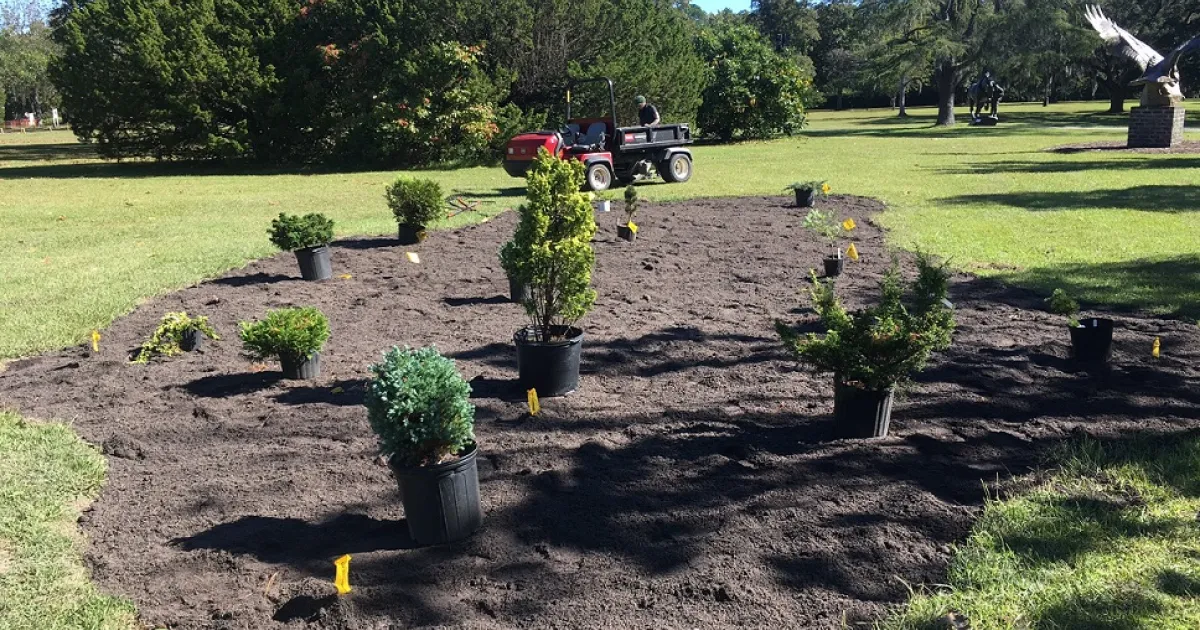 Brookgreen’s Conifer Expansion | Brookgreen