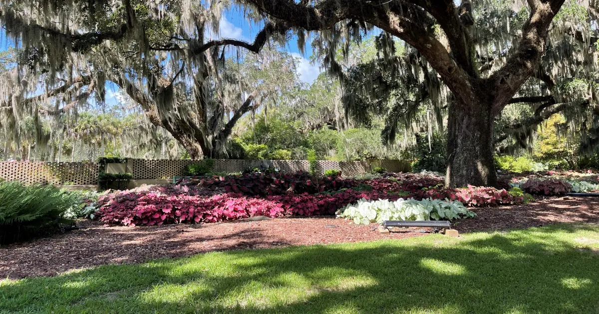 Brookgreen 101 | Brookgreen